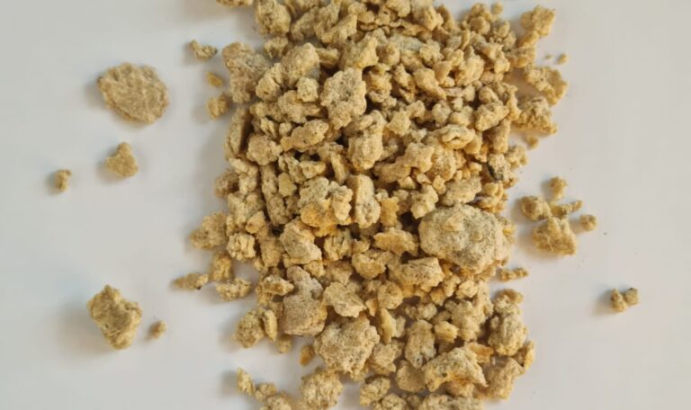 Soy Meal (Bio/Coventional) - Green Protein